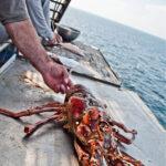 About - FPTower Inc.